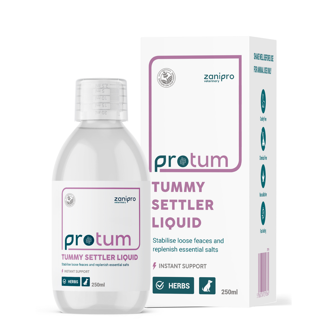 Digestion & Probiotics – Zanipro